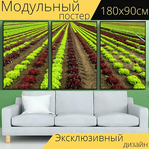 Модульный постер "Пейзаж, сельское хозяйство, уборка урожая" 180 x 90 см. для интерьера