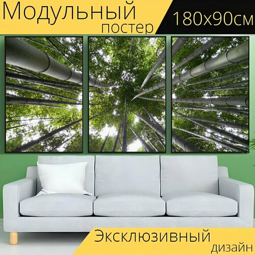 Модульный постер "Поле симнид, ульсан, бамбук" 180 x 90 см. для интерьера
