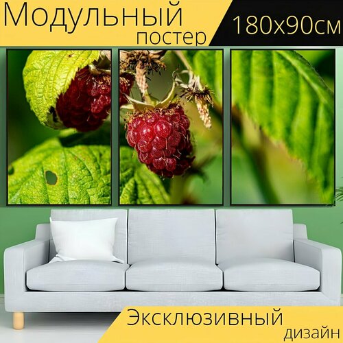 Модульный постер "Малина, фрукты, витамины" 180 x 90 см. для интерьера
