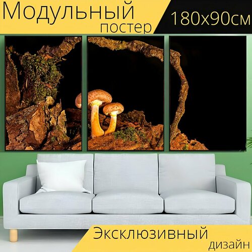 Модульный постер "Гриб, опёнок осенний, лесные грибы" 180 x 90 см. для интерьера