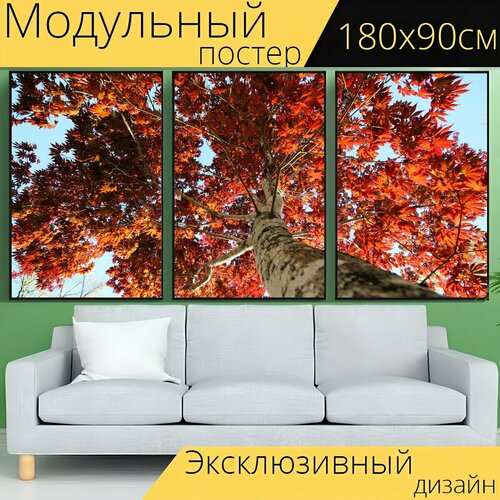 Модульный постер "Осень, красный, дерево" 180 x 90 см. для интерьера