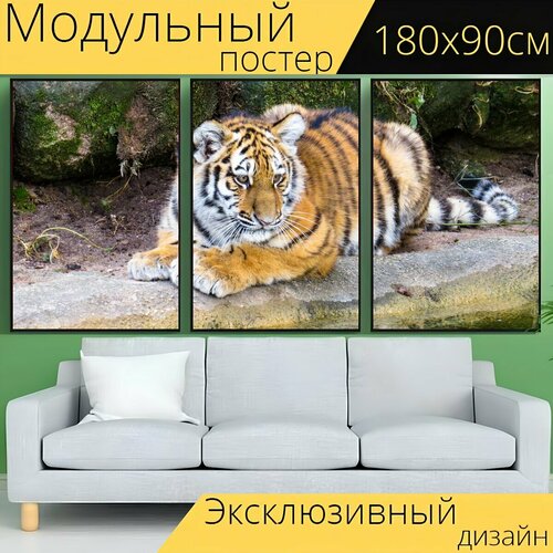 Модульный постер "Дикая природа, тигр, детеныш" 180 x 90 см. для интерьера