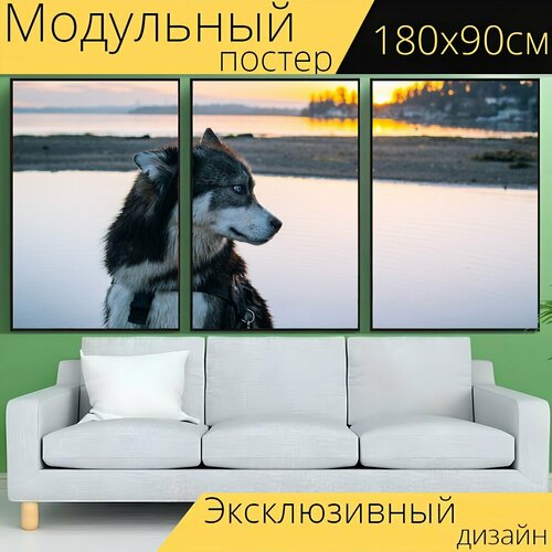 Модульный постер "Животное, волк, на берегу озера" 180 x 90 см. для интерьера