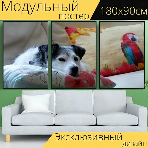 Модульный постер "Собака, подушка, животных" 180 x 90 см. для интерьера