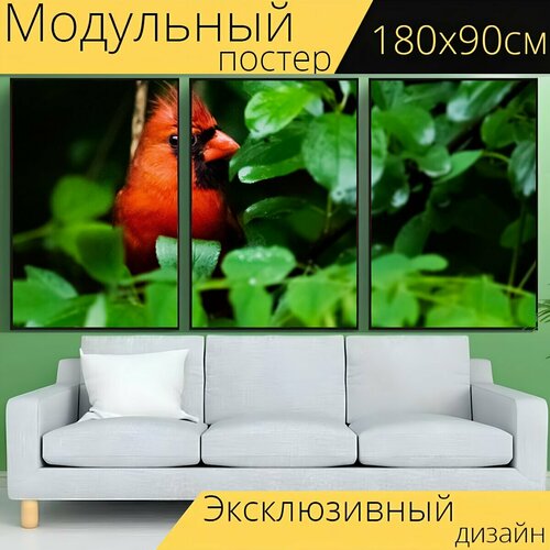Модульный постер "Северный кардинал, птица, дикая природа" 180 x 90 см. для интерьера