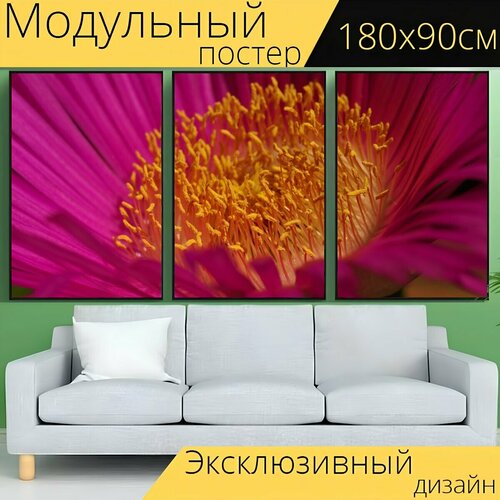 Модульный постер "Цветок, весна, макрос" 180 x 90 см. для интерьера