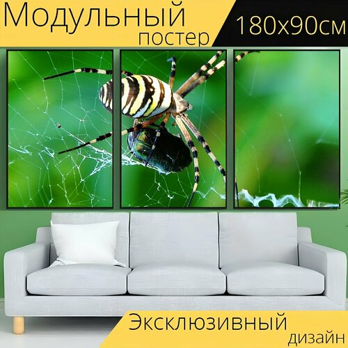 Модульный постер "Тигровый паук, добыча, природа" 180 x 90 см. для интерьера
