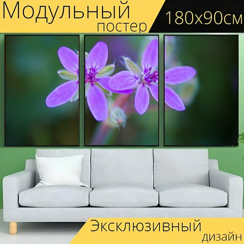 Модульный постер "Расцветает, фиолетовый, весна" 180 x 90 см. для интерьера