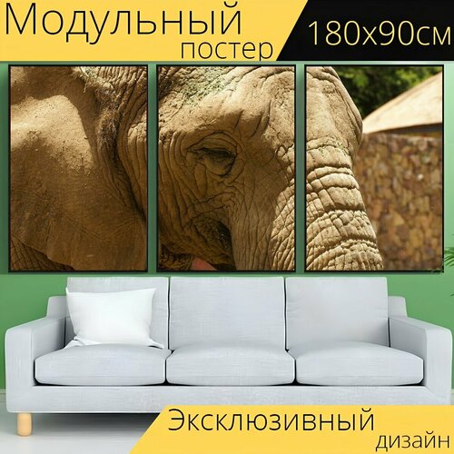 Модульный постер "Африканский слон, природа, африка" 180 x 90 см. для интерьера