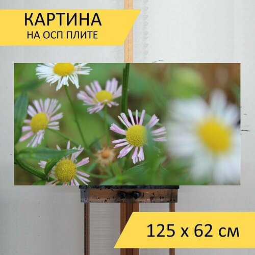Картина на ОСП 125х62 см. "Цветы, ботаника, природа" горизонтальная, для интерьера, с креплениями