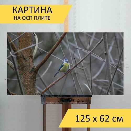 Картина на ОСП 125х62 см. "Синица, птицы, природа" горизонтальная, для интерьера, с креплениями