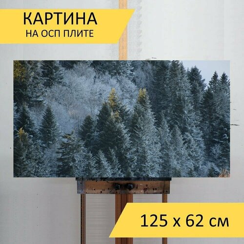 Картина на ОСП 125х62 см. "Снег, фрост, зима" горизонтальная, для интерьера, с креплениями