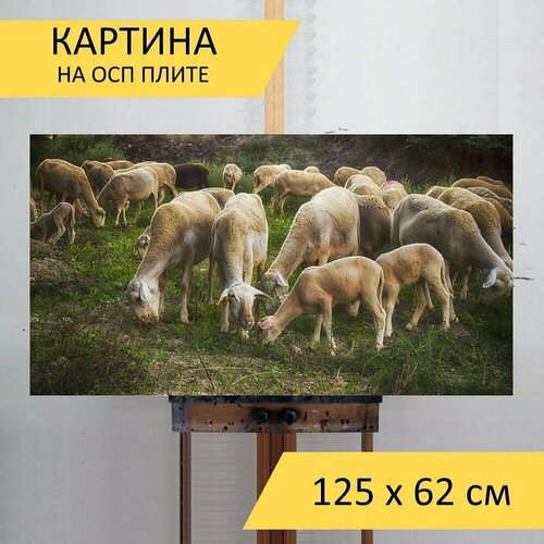 Картина на ОСП 125х62 см. "Баранина, овец, стадо" горизонтальная, для интерьера, с креплениями