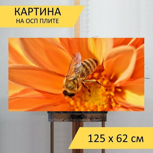 Картина на ОСП 125х62 см. "Пчела, насекомое, крыло" горизонтальная, для интерьера, с креплениями