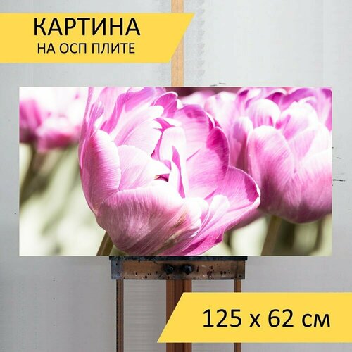 Картина на ОСП 125х62 см. "Тюльпан, цветок, завод" горизонтальная, для интерьера, с креплениями