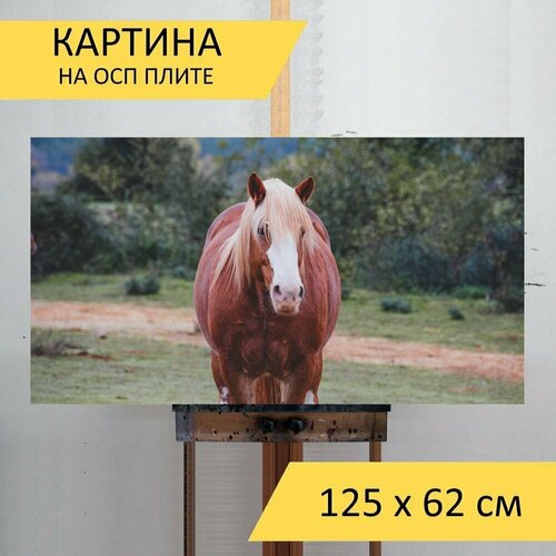 Картина на ОСП 125х62 см. "Лошадь, конный спорт, дикий" горизонтальная, для интерьера, с креплениями
