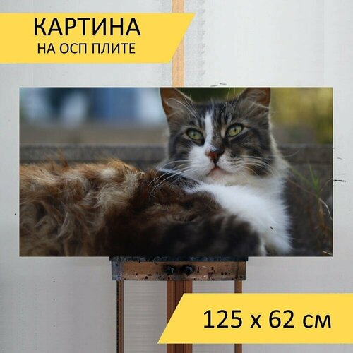 Картина на ОСП 125х62 см. "Кошка, животное, портрет" горизонтальная, для интерьера, с креплениями