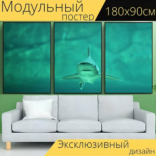 Модульный постер "Акула, вода, море" 180 x 90 см. для интерьера