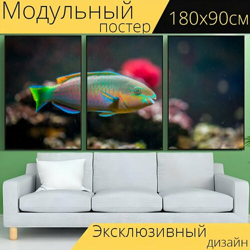 Модульный постер "Рыба, аквариум, природа" 180 x 90 см. для интерьера