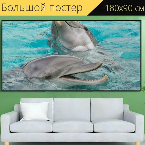 Большой постер "Дельфин, их, счастливый" 180 x 90 см. для интерьера