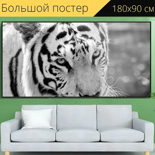 Большой постер "Тигр, глаза, морда" 180 x 90 см. для интерьера