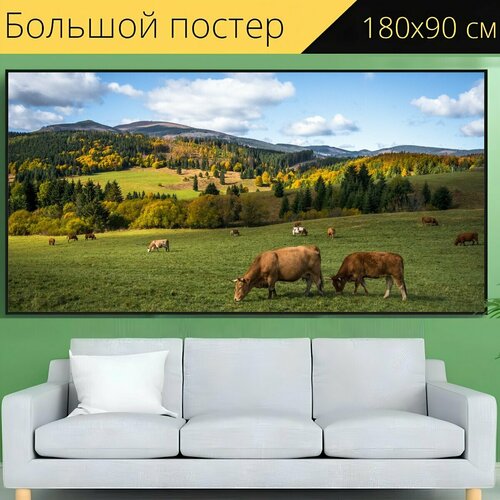 Большой постер "Осень, природа, коровы" 180 x 90 см. для интерьера