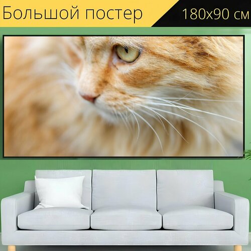 Большой постер "Кошка, рыжий кот, глаз кошки" 180 x 90 см. для интерьера