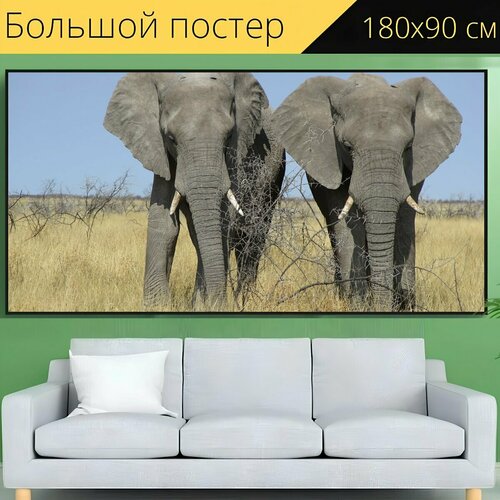Большой постер "Африке, слон, намибия" 180 x 90 см. для интерьера