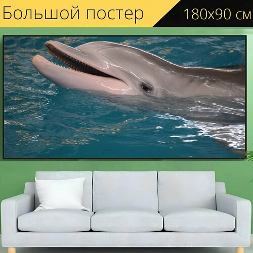 Большой постер "Дельфин, млекопитающие, разумный" 180 x 90 см. для интерьера