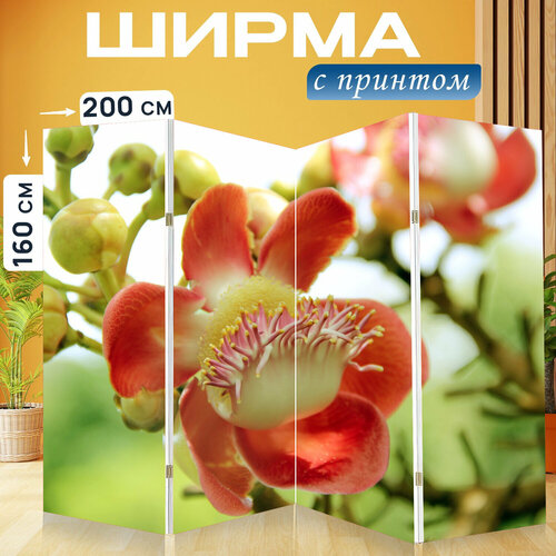 Ширма перегородка с принтом "Цветок, сад, блум" на холсте - 200x160 см. для зонирования, раскладная