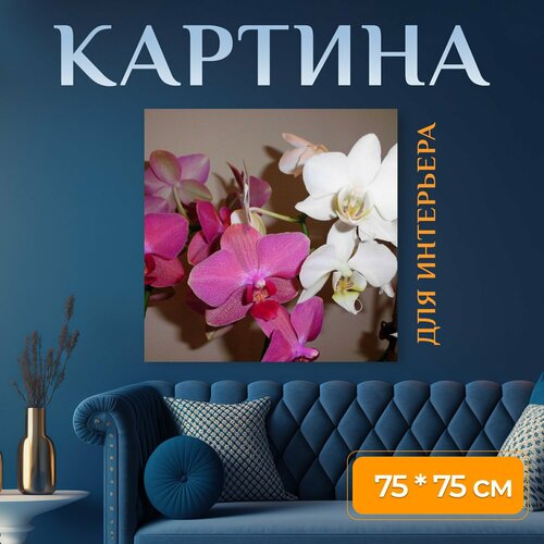 Картина на холсте "Розовый, белый, орхидея" на подрамнике 75х75 см. для интерьера