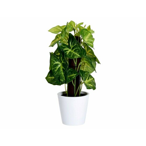 Искусственное растение таро В кашпо, 25х10 см, Koopman International 318001040-3