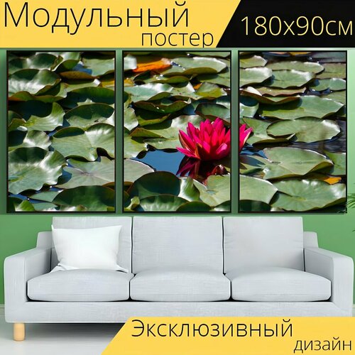 Модульный постер "Пруд, водяная лилия, водное растение" 180 x 90 см. для интерьера