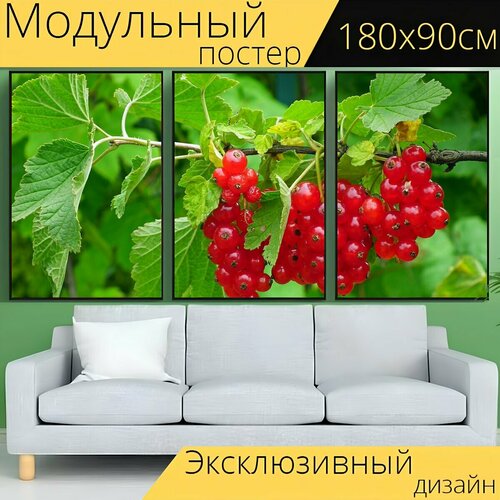 Модульный постер "Смородина, фрукты, красный" 180 x 90 см. для интерьера