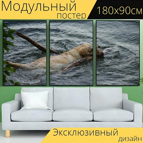 Модульный постер "Собака, вода, плавать" 180 x 90 см. для интерьера