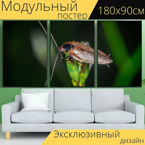 Модульный постер "Таракан, насекомое, макро" 180 x 90 см. для интерьера