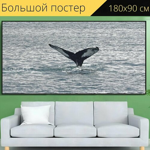 Большой постер "Кит, горбатый кит, горбатых китов" 180 x 90 см. для интерьера