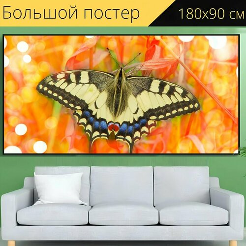 Большой постер "Ласточкин хвост, бабочка, насекомое" 180 x 90 см. для интерьера