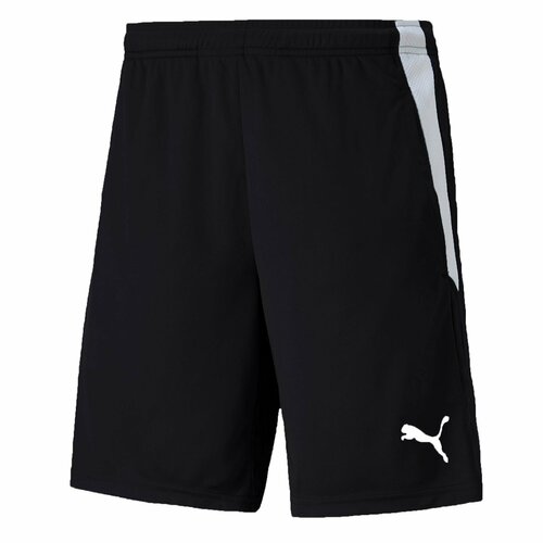 Шорты спортивные PUMA Teamliga Training Shorts 2, размер XXL, черный