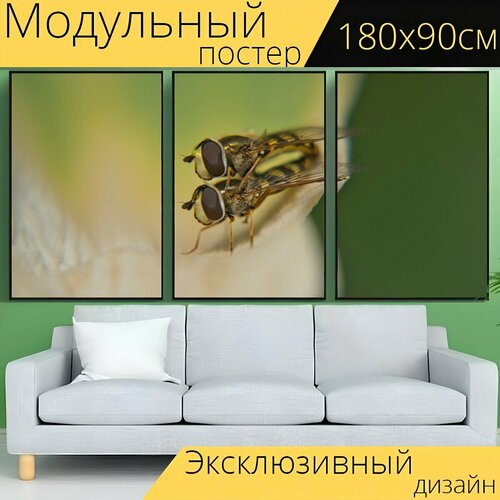 Модульный постер "Пчелы, насекомые, закрывать" 180 x 90 см. для интерьера