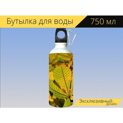 Бутылка фляга для воды "Листья, осень, природа" 750 мл. с карабином и принтом