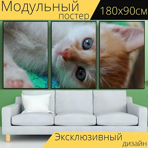Модульный постер "Кот, кошка ребенок, красный" 180 x 90 см. для интерьера