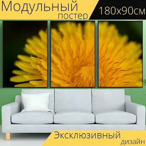 Модульный постер "Одуванчик, цвести, флора" 180 x 90 см. для интерьера