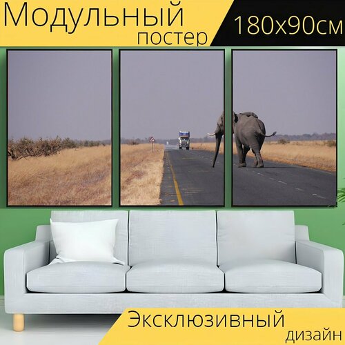 Модульный постер "Ботсвана, слон, дорога" 180 x 90 см. для интерьера