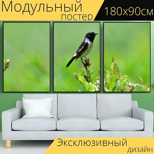 Модульный постер "Природные, дикие животные, птица" 180 x 90 см. для интерьера