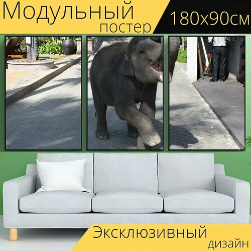 Модульный постер "Слон, слоненок, тренироваться" 180 x 90 см. для интерьера