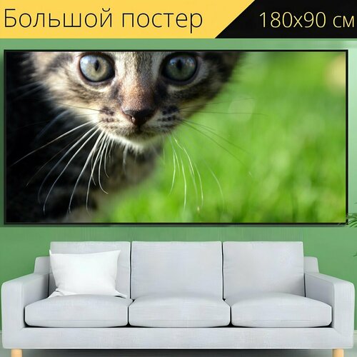 Большой постер "Кошка, домашний питомец, любовь" 180 x 90 см. для интерьера