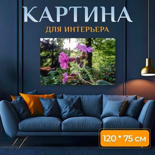 Картина на холсте "Цветок, фиолетовый, полевой цветок" на подрамнике 120х75 см. для интерьера