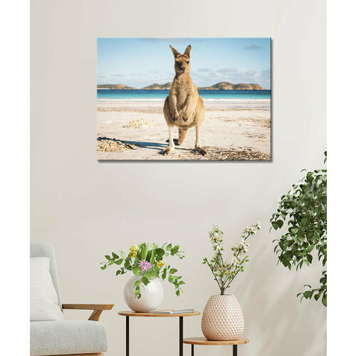 Картина - кенгуру, маленький кенгуру, кенгуру на берегу, длинноухий кенгуру (29) 30х40