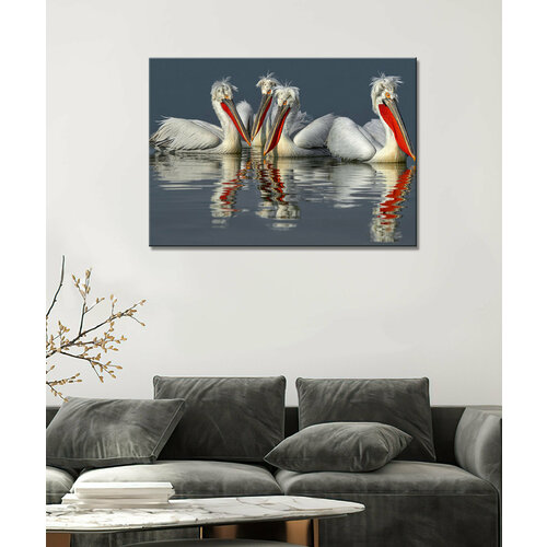 Картина/Пеликан/Пеликаны/Пелекан у моря/Пеликан вблизи/ - Пеликан (11) 60х80